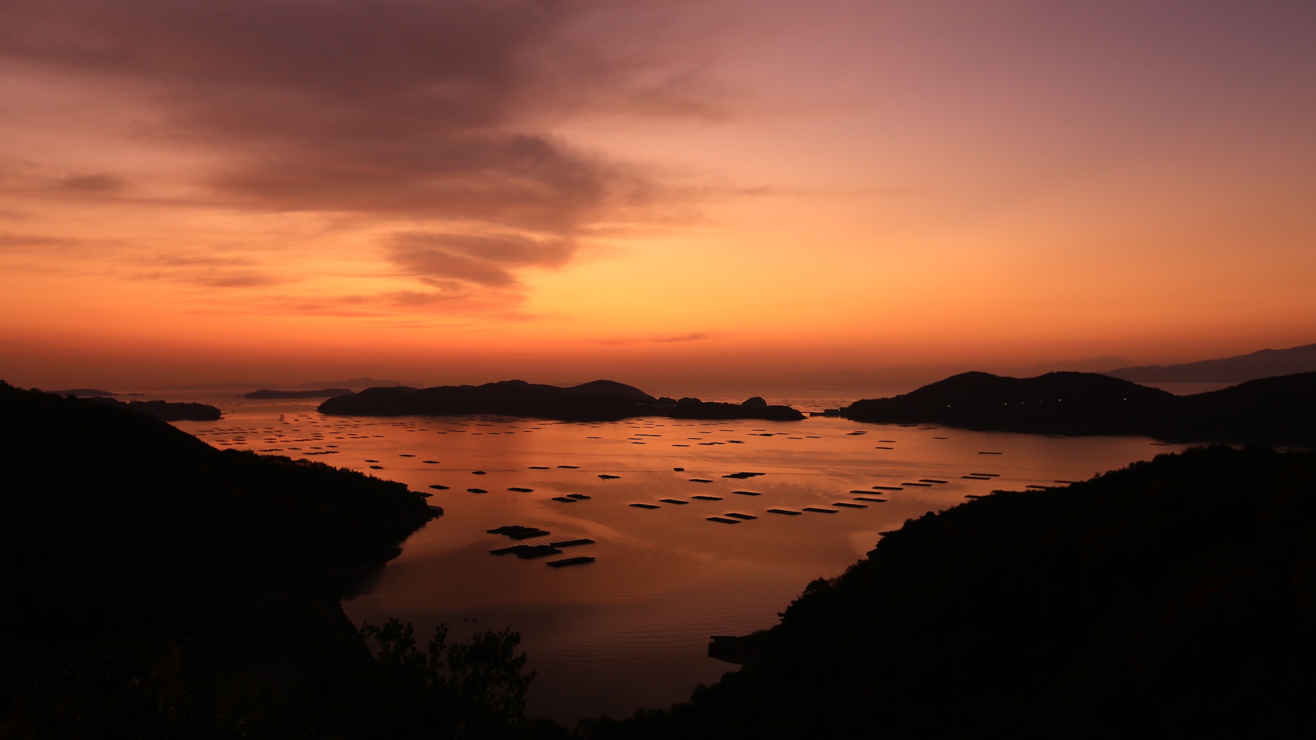 The Dawn of Seto, Woven by History and Nature - treasures of Japan