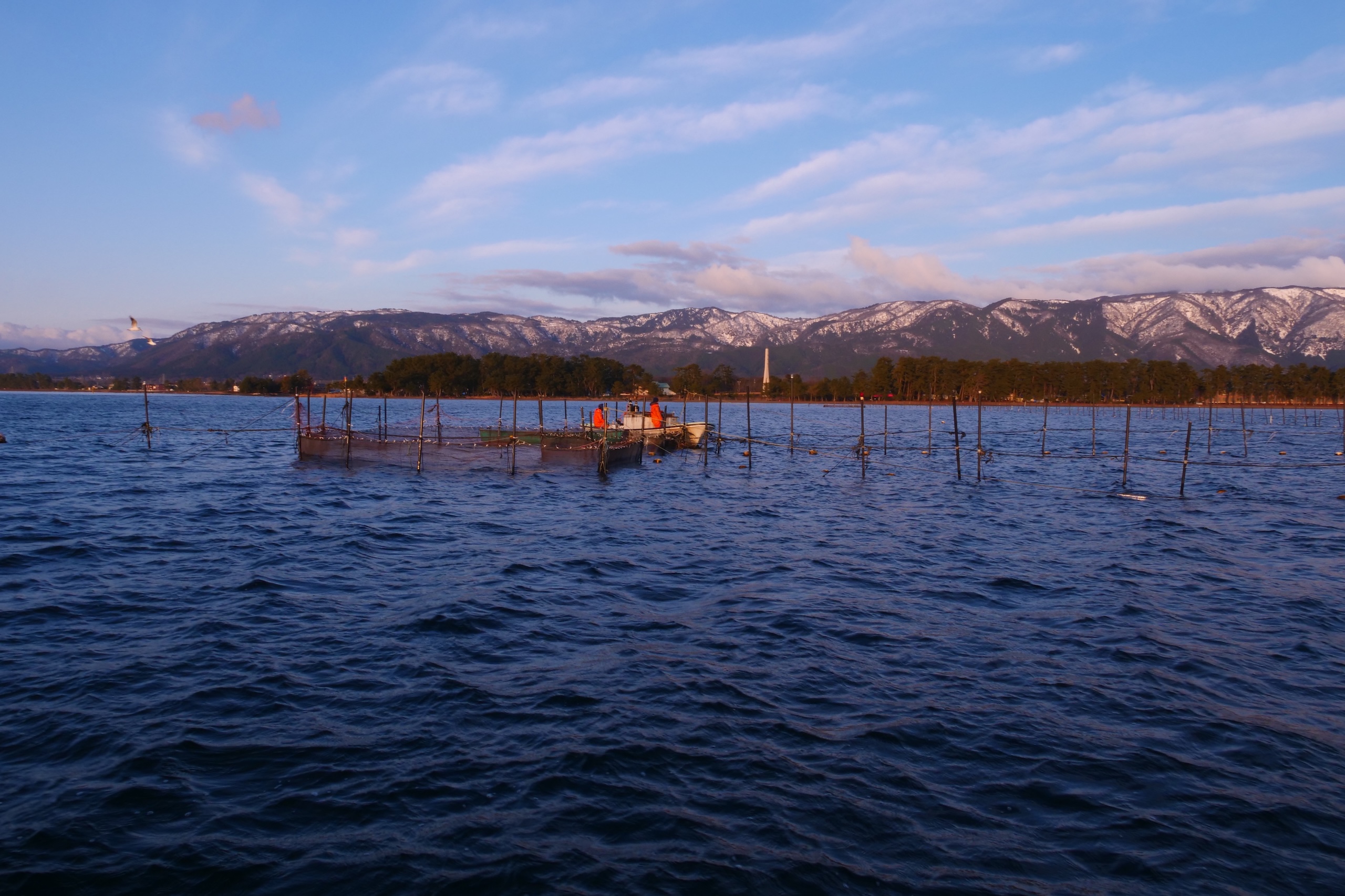 Traditional Eri Fishing Lives On in Lake Biwa - treasures of Japan