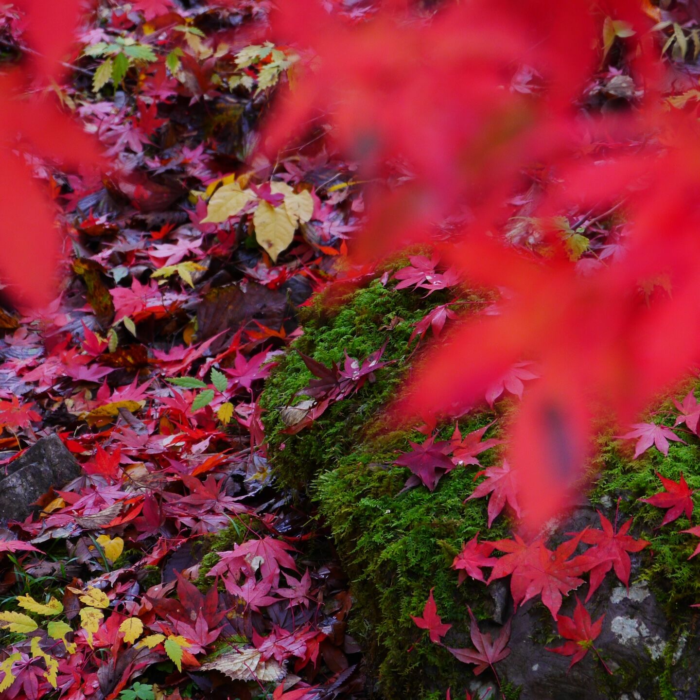 Treasures of Japan - treasures of Japan